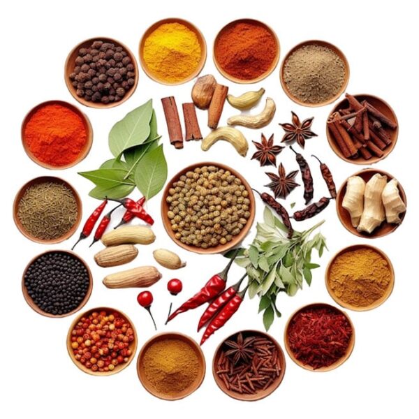 Home - Spicetone Food Works